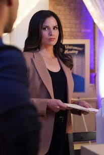 NCIS: Season 20, Episode 10 - Rotten Tomatoes