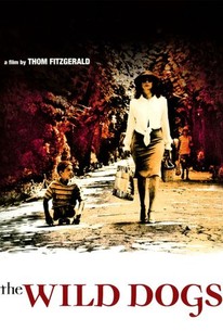 The Wild Dogs | Rotten Tomatoes
