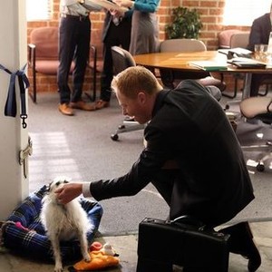 Jared Goldstein - Rotten Tomatoes