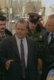 The Commish: Season 2, Episode 14 | Rotten Tomatoes