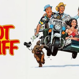 Hot Stuff - Rotten Tomatoes