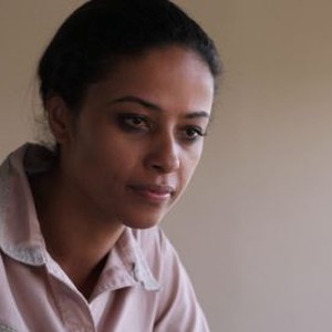 The Fix - Rotten Tomatoes