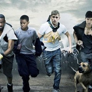 Shank - Rotten Tomatoes