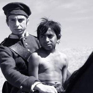 Aferim! - Rotten Tomatoes