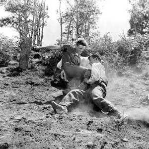 Skip Homeier - Rotten Tomatoes