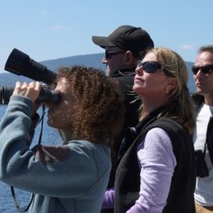 Blackfish - Rotten Tomatoes