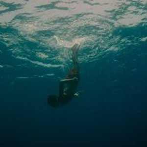 Evolution - Rotten Tomatoes