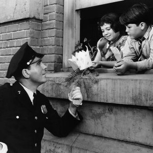 Sybil Jason - Rotten Tomatoes