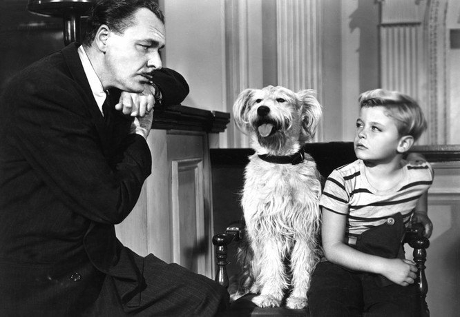 Wilton Graff Actor Wilton Graff • FlixPatrol