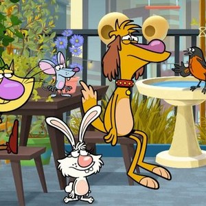 Nature Cat: Season 5, Episode 2 - Rotten Tomatoes
