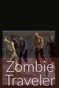 Zombie Traveler | Rotten Tomatoes