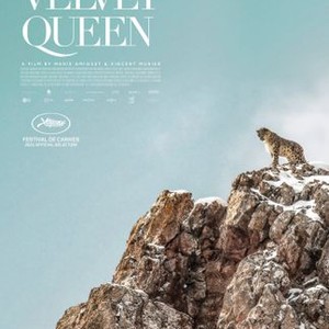 The Velvet Queen - Rotten Tomatoes