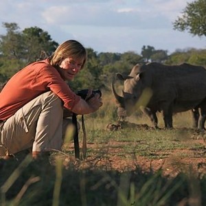 Austin Stevens: Snakemaster: Season 1, Episode 1 - Rotten Tomatoes