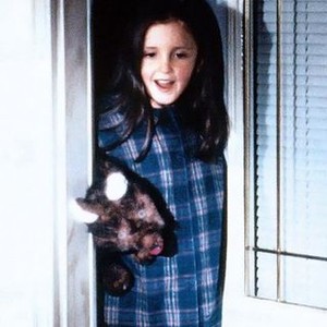 Ms. Bear - Rotten Tomatoes