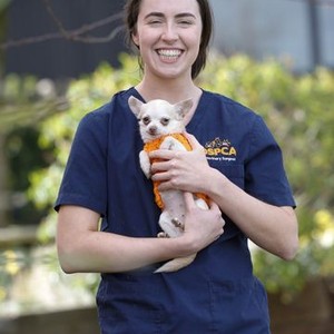 The Shelter: Animal SOS - Rotten Tomatoes