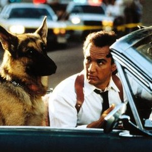 K-9 - Rotten Tomatoes