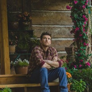 The Shack - Rotten Tomatoes