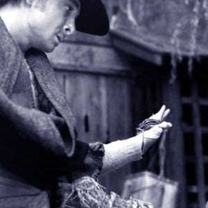 The Silent Stranger - Rotten Tomatoes