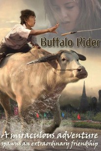 Buffalo Rider | Rotten Tomatoes