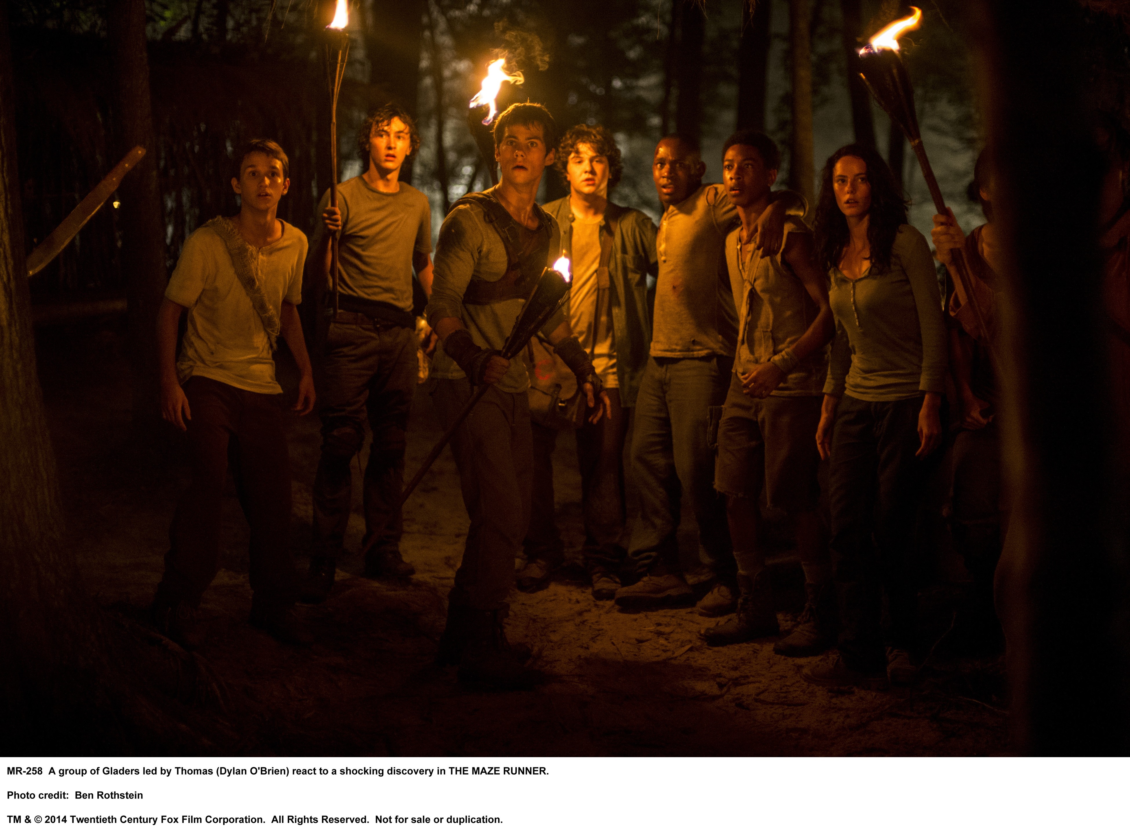 The Maze Runner: Trailer 1 - Trailers & Videos - Rotten Tomatoes