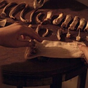 Off Season - Rotten Tomatoes