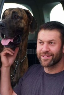 My Pack Life: Season 1, Episode 8 | Rotten Tomatoes