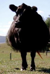 The Real Seachange: Season 2, Episode 3 | Rotten Tomatoes