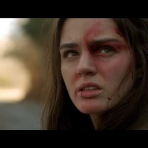 Treehouse - Rotten Tomatoes