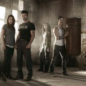 Kingdom - Rotten Tomatoes