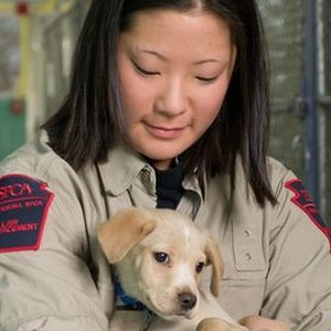 Animal Cops: Detroit: Season 13, Episode 19 - Rotten Tomatoes