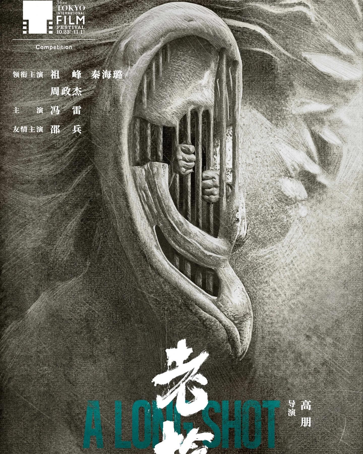 A Long Shot | Rotten Tomatoes