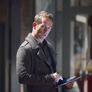 Jonny Rees - Rotten Tomatoes