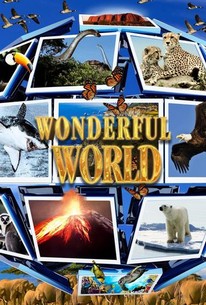 Wonderful World | Rotten Tomatoes