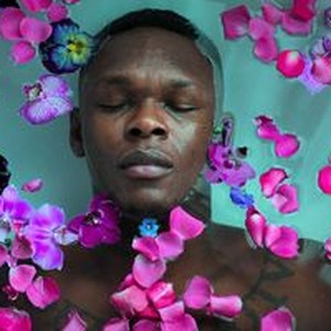 Stylebender - Rotten Tomatoes