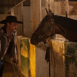 50 to 1 - Rotten Tomatoes