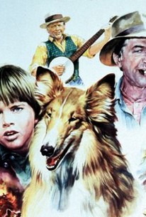 The Magic of Lassie (1978) - Rotten Tomatoes