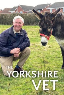 The Yorkshire Vet: Season 15 | Rotten Tomatoes