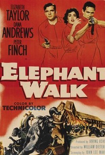 Elephant Walk | Rotten Tomatoes
