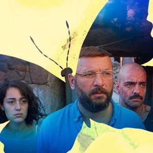 Butterflies - Rotten Tomatoes