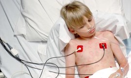 Consumed - Rotten Tomatoes