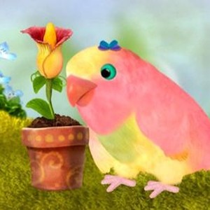 3rd & Bird: Season 1, Episode 13 - Rotten Tomatoes