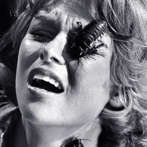 Bug - Rotten Tomatoes