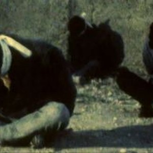 The First 54 Years: An Abbreviated Manual for Military Occupation ...