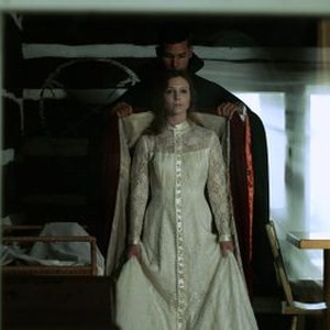 The Unleashed - Rotten Tomatoes