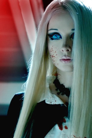 The doll store