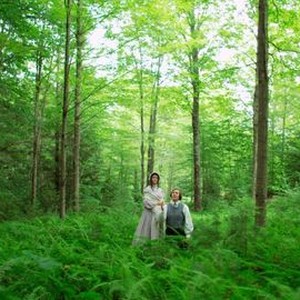 R. Dustin Harding - Rotten Tomatoes