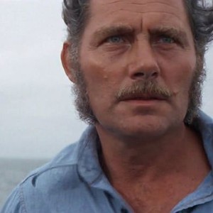 Jaws - Rotten Tomatoes