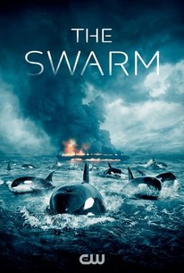 The Swarm | Rotten Tomatoes