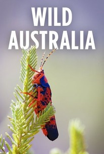 Wild Australia: Season 1 | Rotten Tomatoes