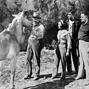 Joseph Calleia - Rotten Tomatoes